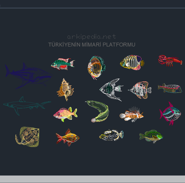 Marine Fish Drawings Dwg - Arkipedia EN